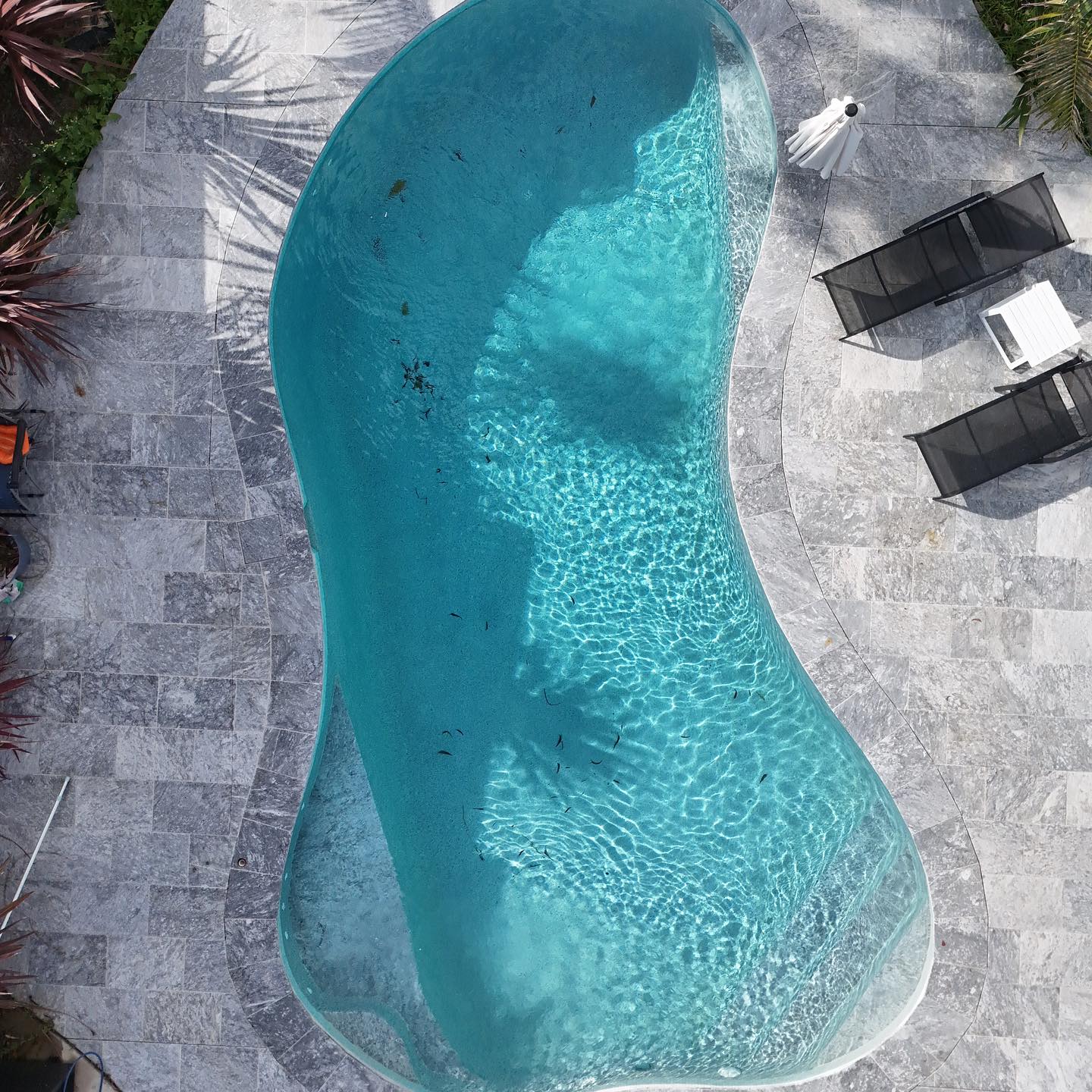 Pool Renovation in Mannering Park | Tropical Pools of Australia